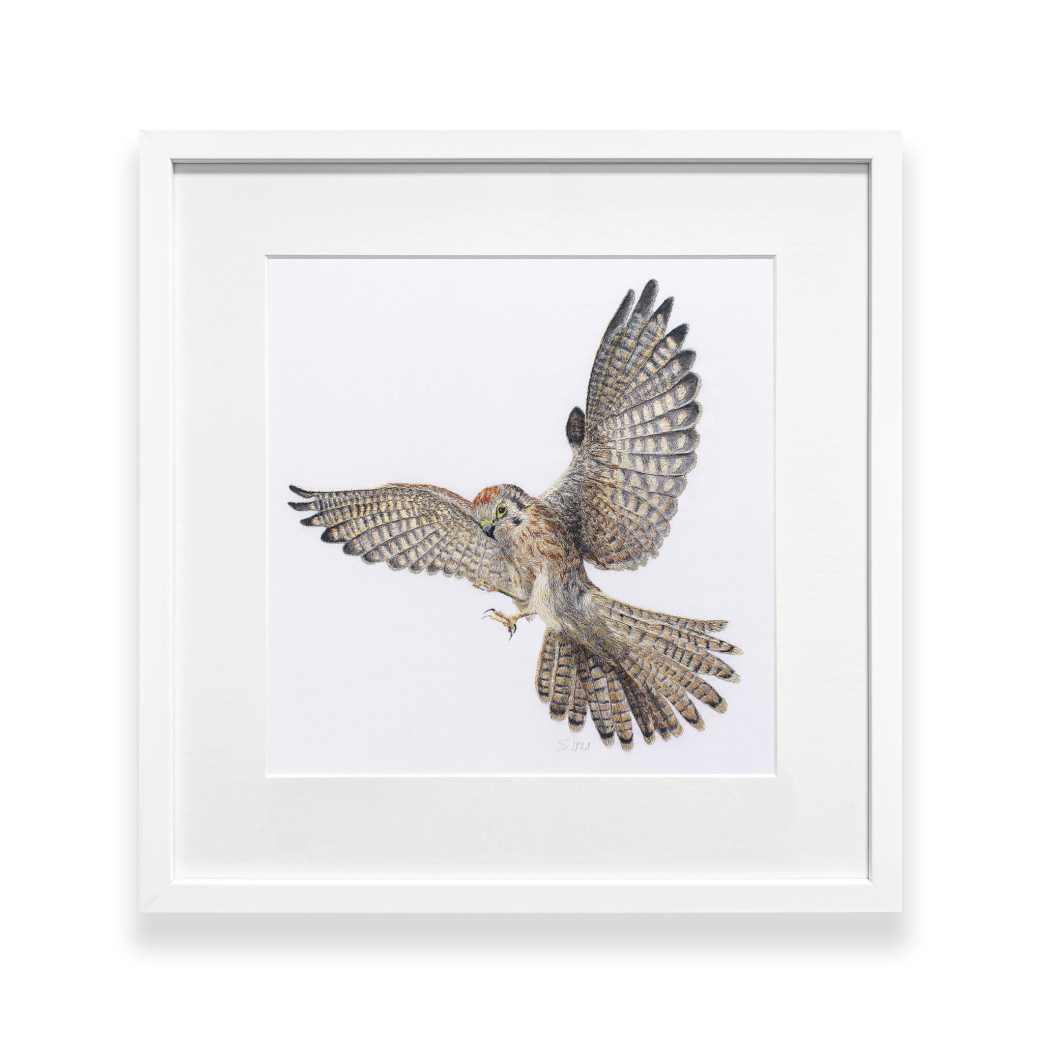 Regent Kestrel - Original Embroidery