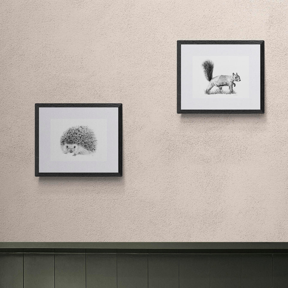 Regent Hedgehog - Drawing Print